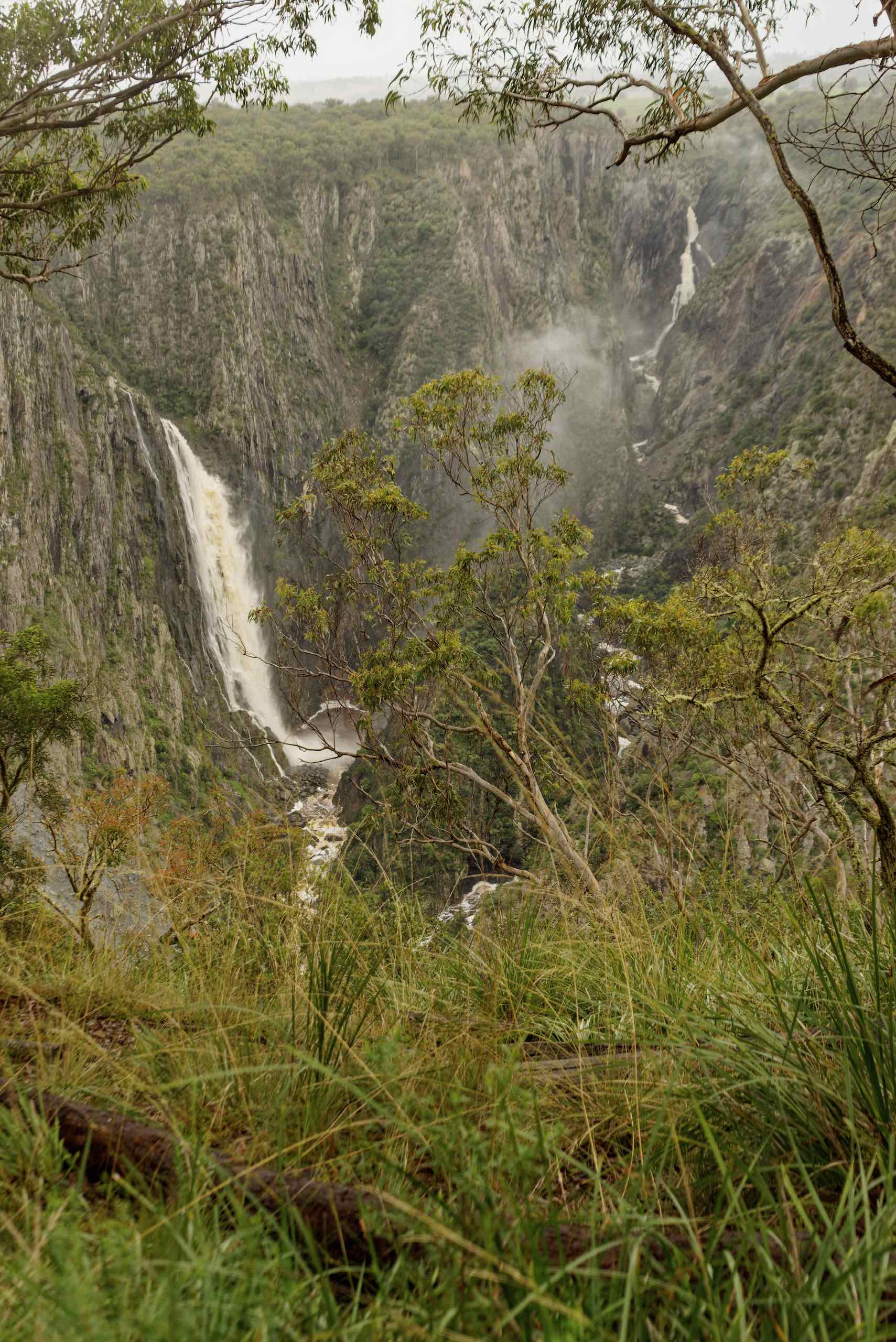 travelens | Day 3: Wollomombi Falls