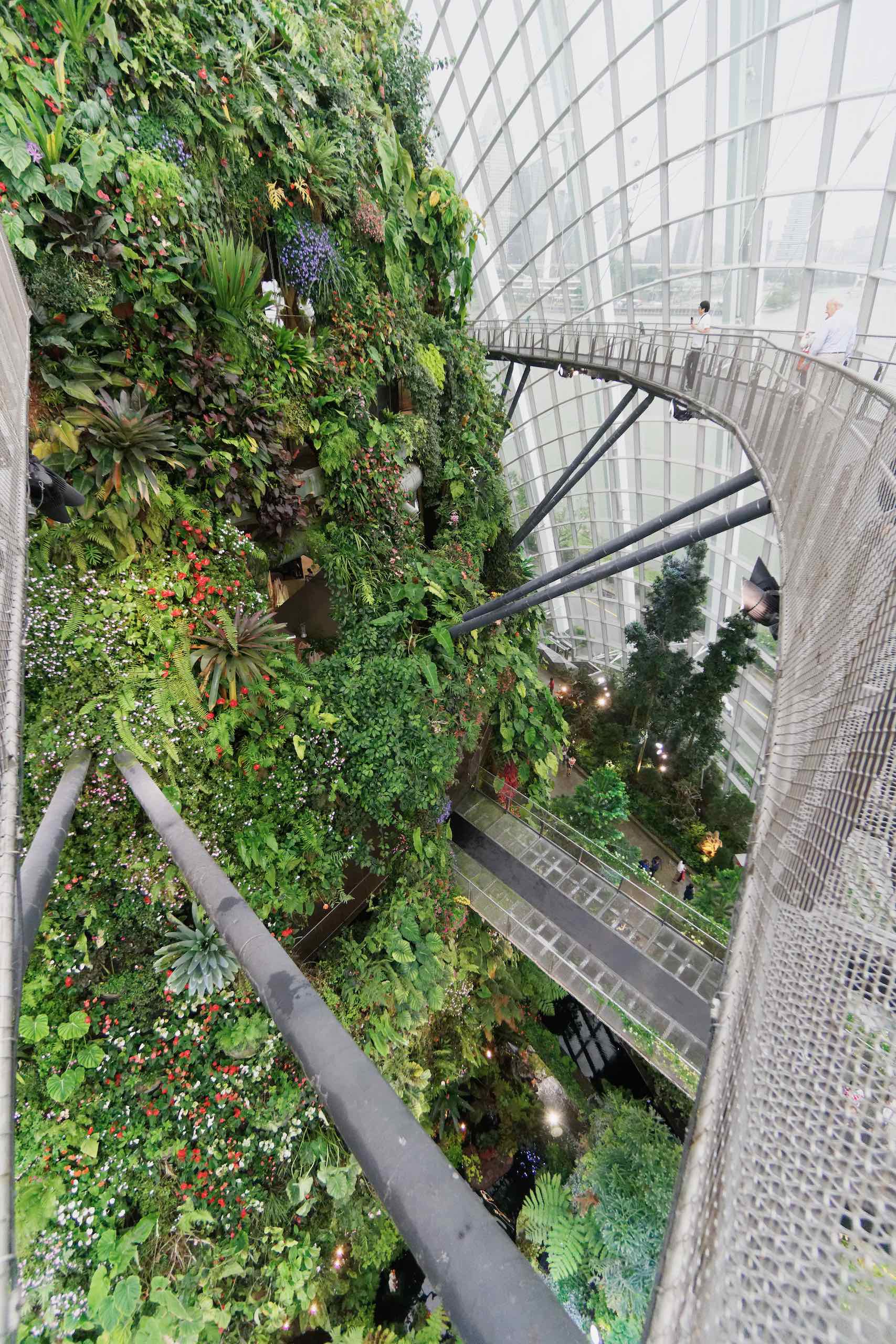 travelens | Day 3: Cloud Forest (Cloud Walk)