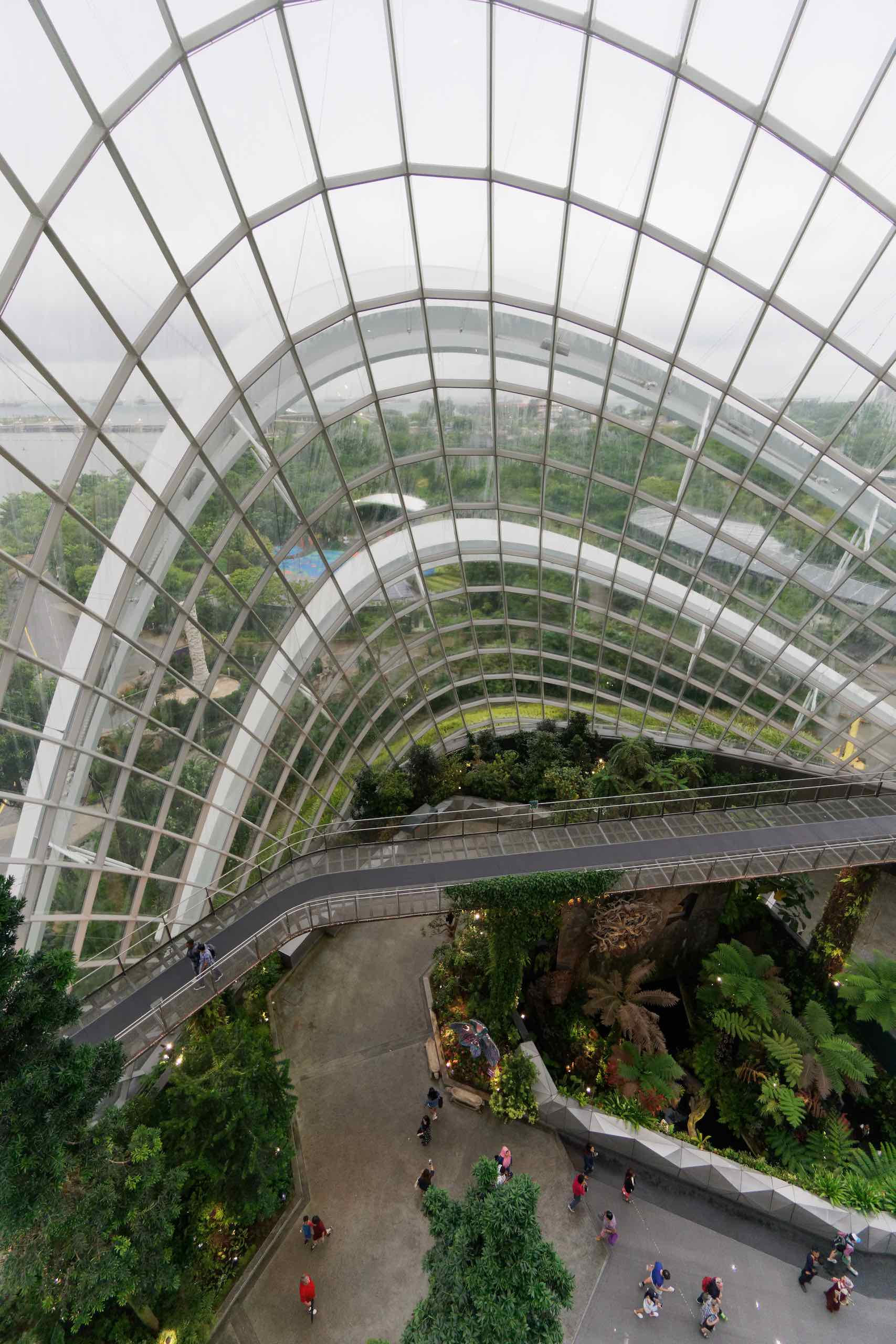 travelens | Day 3: Cloud Forest (Cloud Walk)