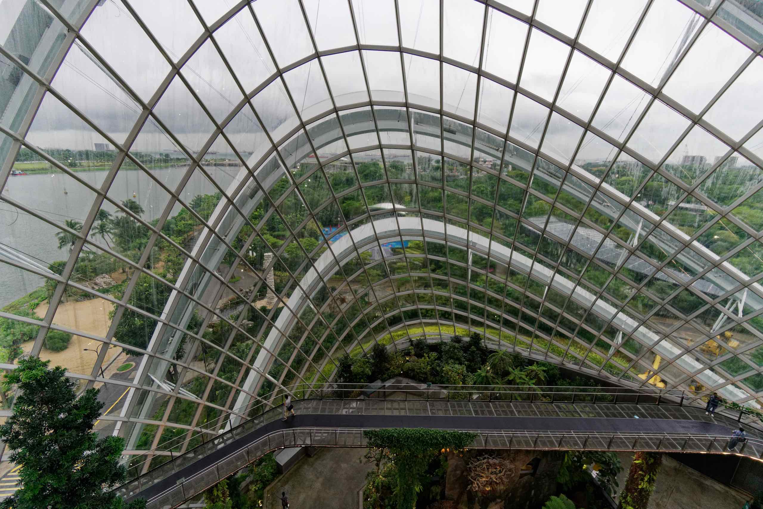 travelens | Day 3: Cloud Forest (Cloud Walk)