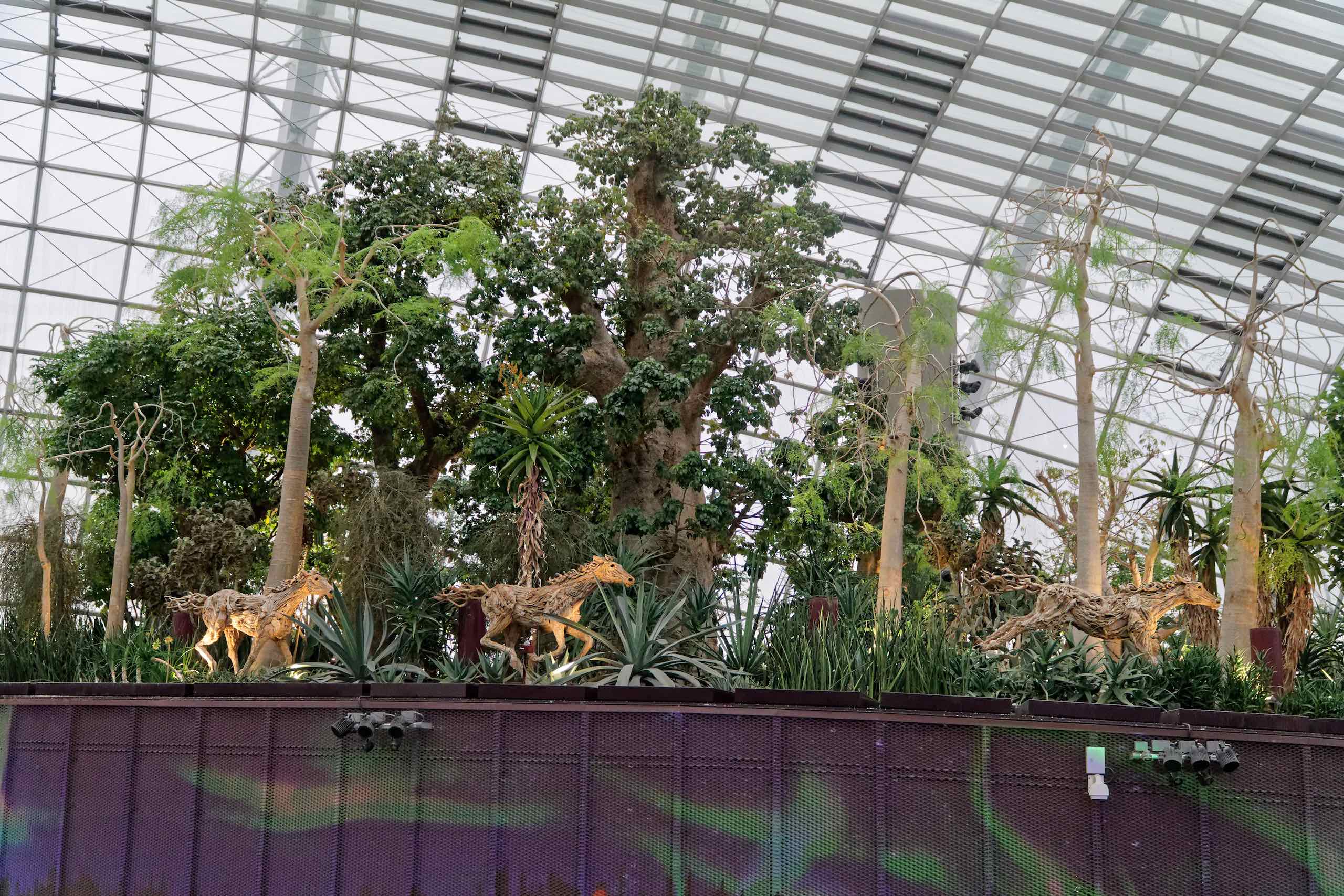 travelens | Day 3: Flower Dome (Continental Gardens)