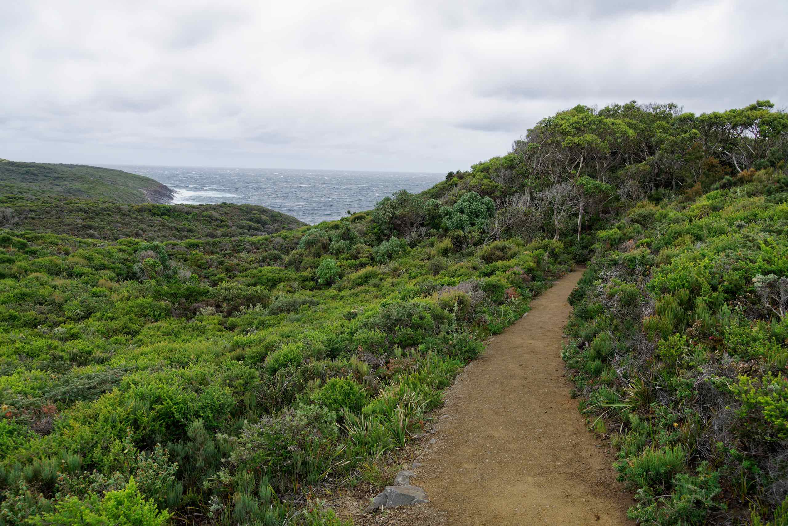 travelens | Day 3: Crescent Bay